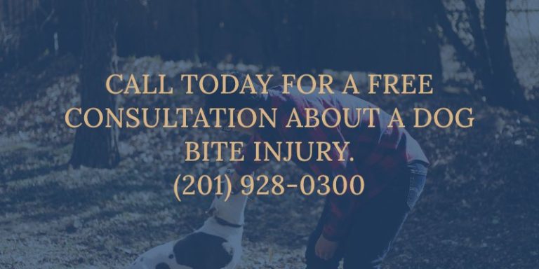 What To Know About A Dog Bite Case In New Jersey